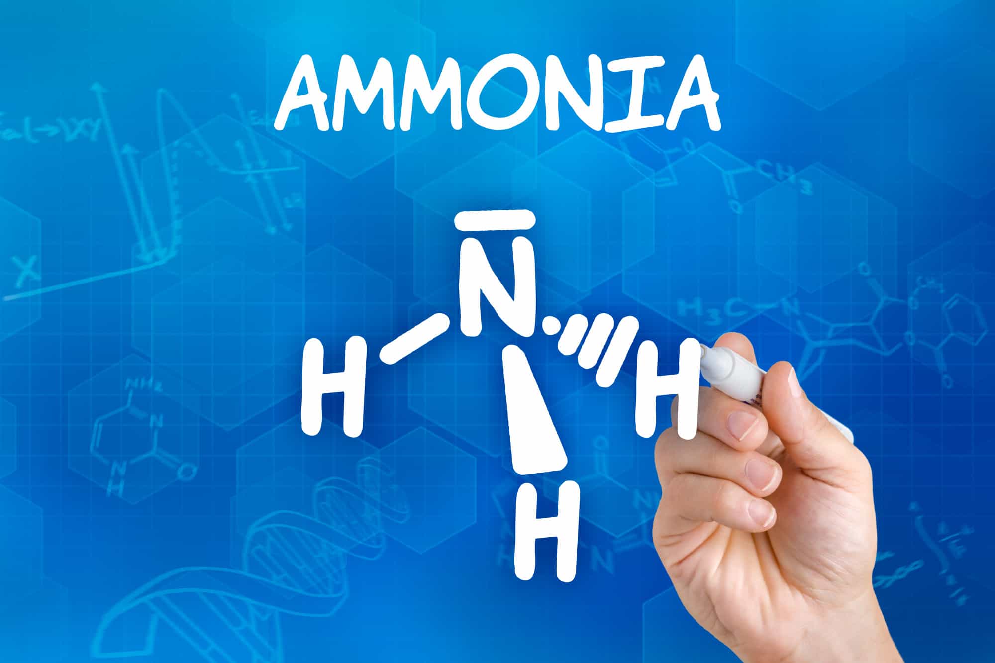 Beginner's Guide to Ammonia - KHA Online-SDS Management
